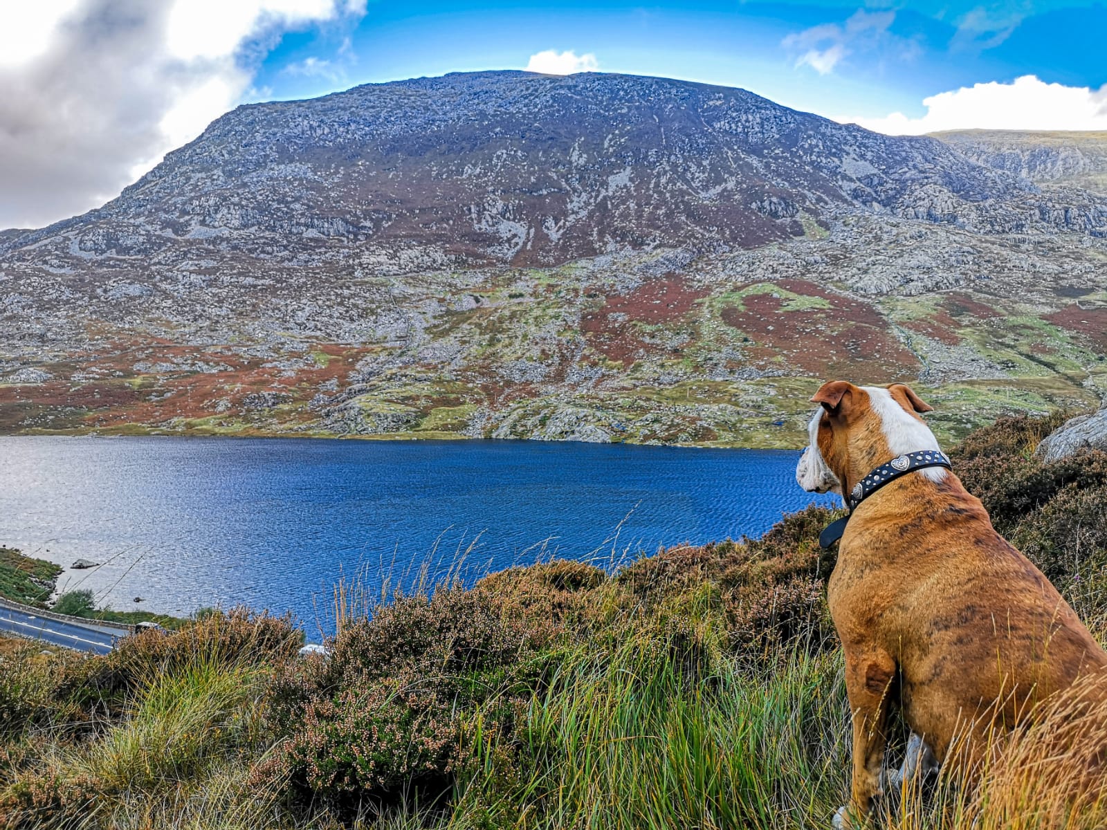 Beginners Guide to hiking mountains: Snowdonia National Park ...